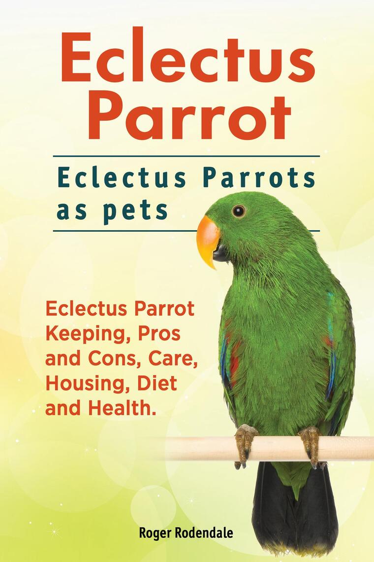 Eclectus Parrot. Eclectus Parrots as pets. Eclectus Parrot Keeping ...