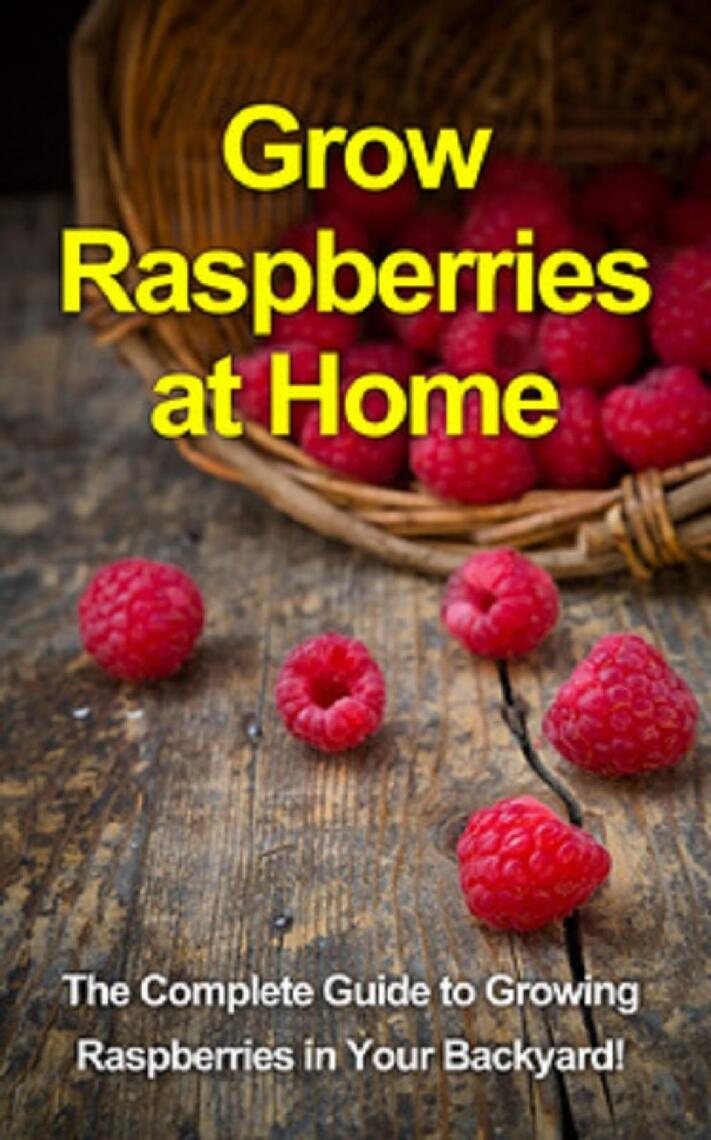 Grow Raspberries at Home by Steve Ryan (Ebook) - Read free for 30 days