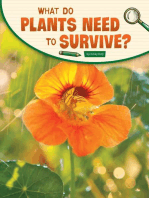 Grade 2 Science Examination | PDF | Electricity | Magnetic Field