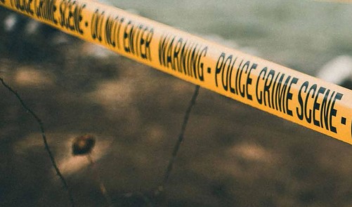 Let The Bones Talk - Australian Women’s Weekly NZ | Everand