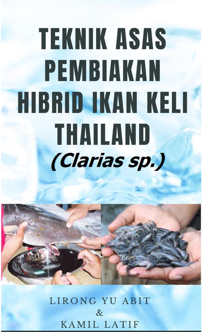 Teknik Asas Pembiakan Hibrid Ikan Keli Thailand (Clarias sp.) by Lirong ...
