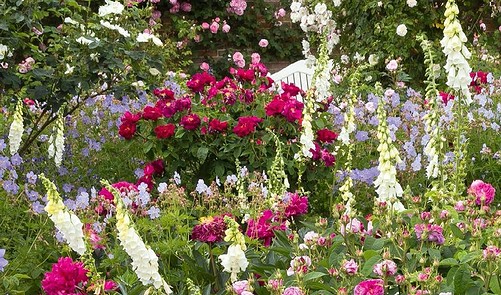 GARDEN Notes - Woman's Weekly | Everand