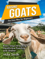 Goat Farming Project Report 500 20 Goats | PDF | Goat | Agriculture