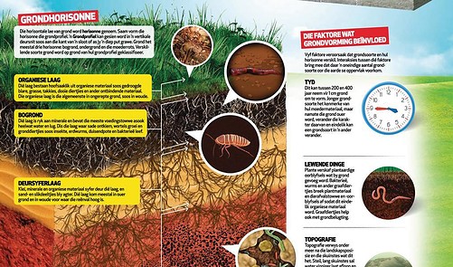 Die Lae Van Grond - Huisgenoot | Everand