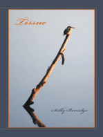 False nostalgia | PDF | Nostalgia | Liberal Arts Education