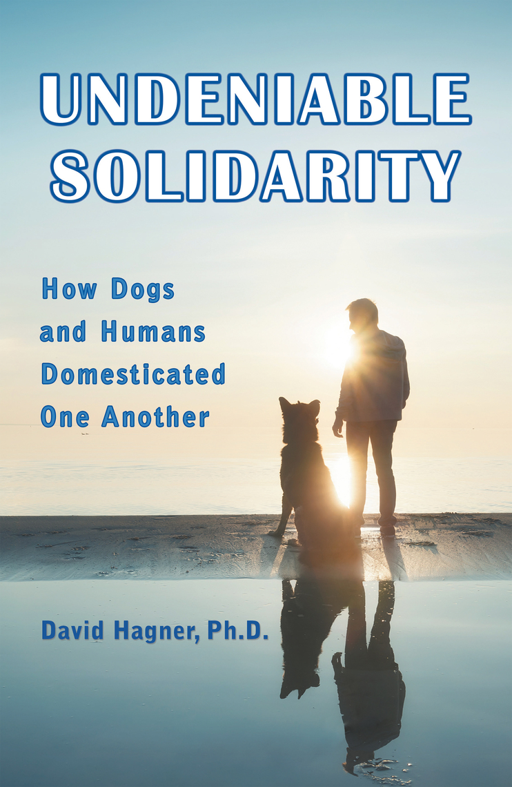 Undeniable Solidarity by David Hagner Ph.D. (Ebook) - Read free for 30 days