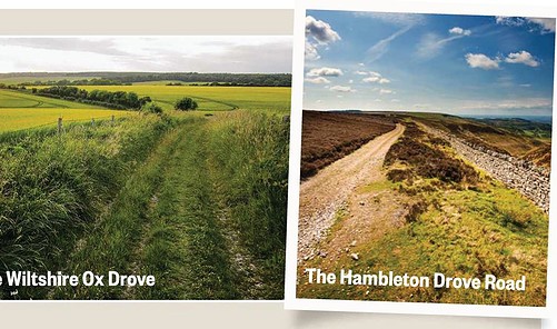 Great Drovers’ Roads - BBC Countryfile Magazine | Everand