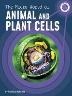 Specialised Animal Cells - Living Organisms - KS3 Biology - BBC ...