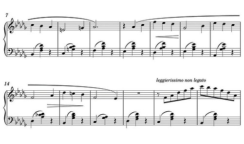 Camille SAINT-SAËNS (1835-1921) - Pianist | Everand