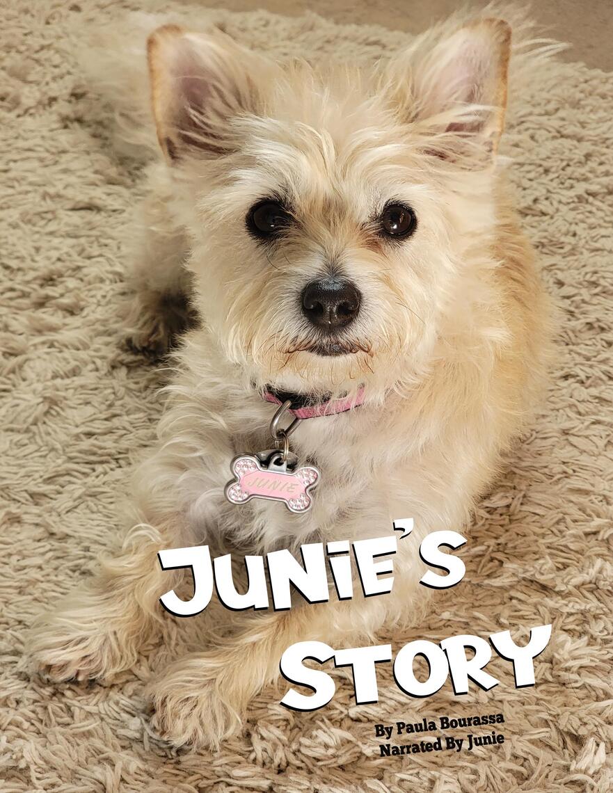 Junie's Story by Paula Bourassa (Ebook) - Read free for 30 days