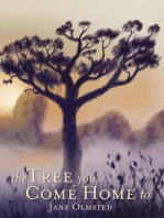 Seeing - Annie Dillard | PDF | Nature