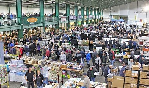 A National Bird Show For Scotland - Cage & Aviary Birds | Everand