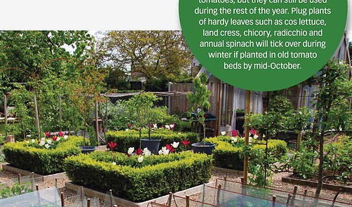 Your Kitchen Garden Through The Seasons - BBC Gardeners' World | Everand