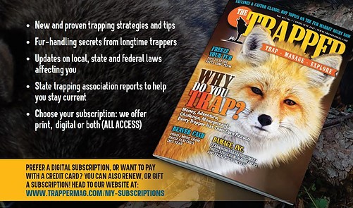 The Trapper - Trapper & Predator Caller | Everand