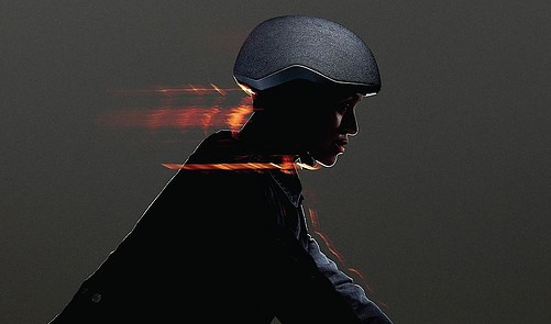 Life Cycle - Wallpaper | Everand