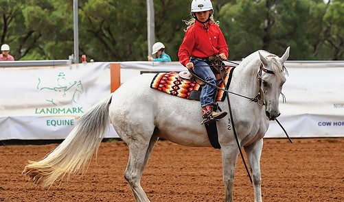 Binnaway Show and Reined Cow Horse - Australian Performance Horse ...