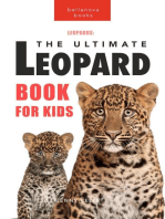 AmurLeopard Facts | PDF | Leopard
