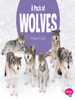 All Wolf Ranks - Powerful Wolves PDF | PDF | Pack (Canine)