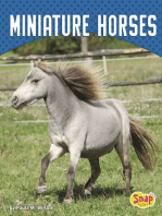 Horse Lapbook by Creative Learning Fun | PDF | Horse Gait | Horses