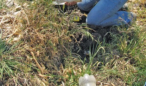 How To Take Soil Samples - Farmer's Weekly | Everand