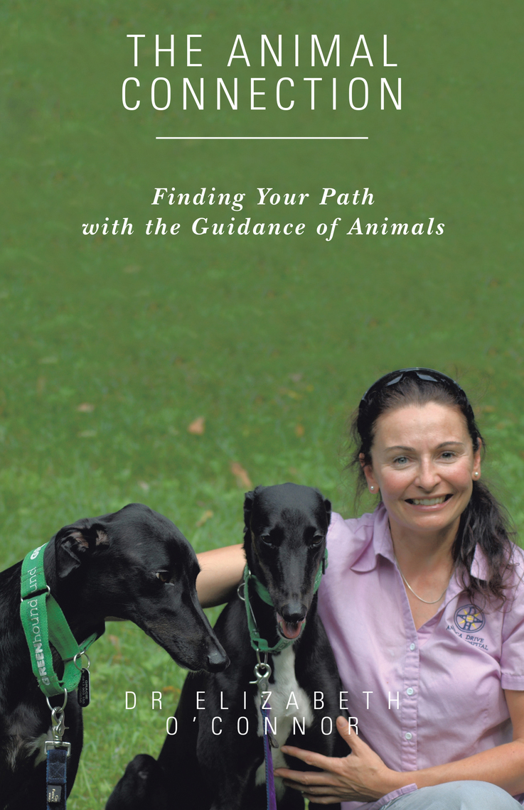 The Animal Connection by Dr Elizabeth O'Connor - Ebook | Everand