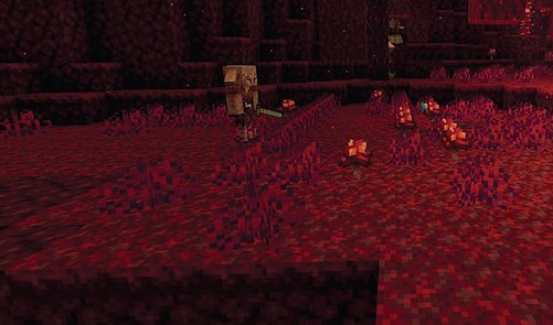 Minecraft Glossary (for Grown-ups!) - Minecraft World Magazine | Everand