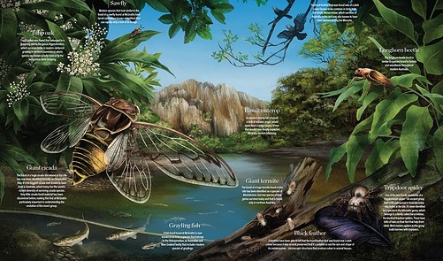 Life In The Miocene - Australian Geographic | Everand