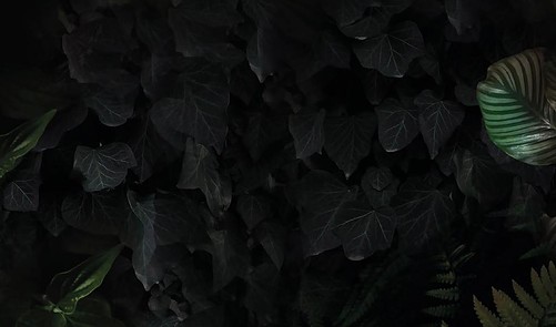 The World Of Strange Phenomena Fortean Times - Fortean Times | Everand