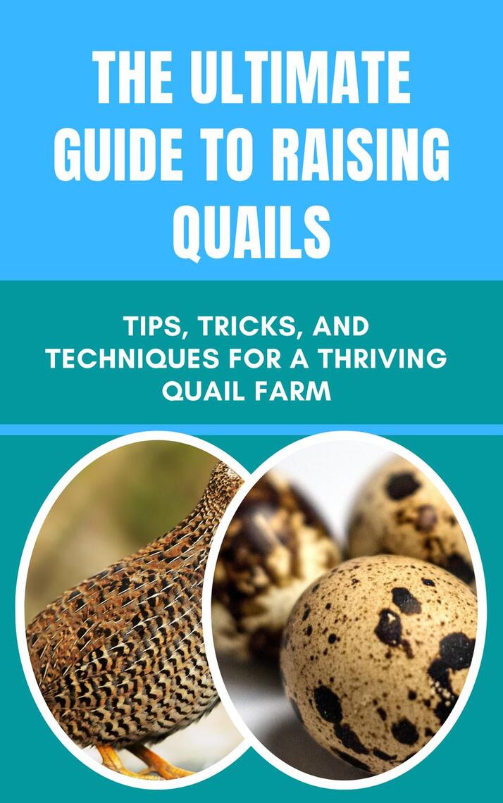 The Ultimate Guide to Raising Quails: Tips, Tricks, and Techniques for ...