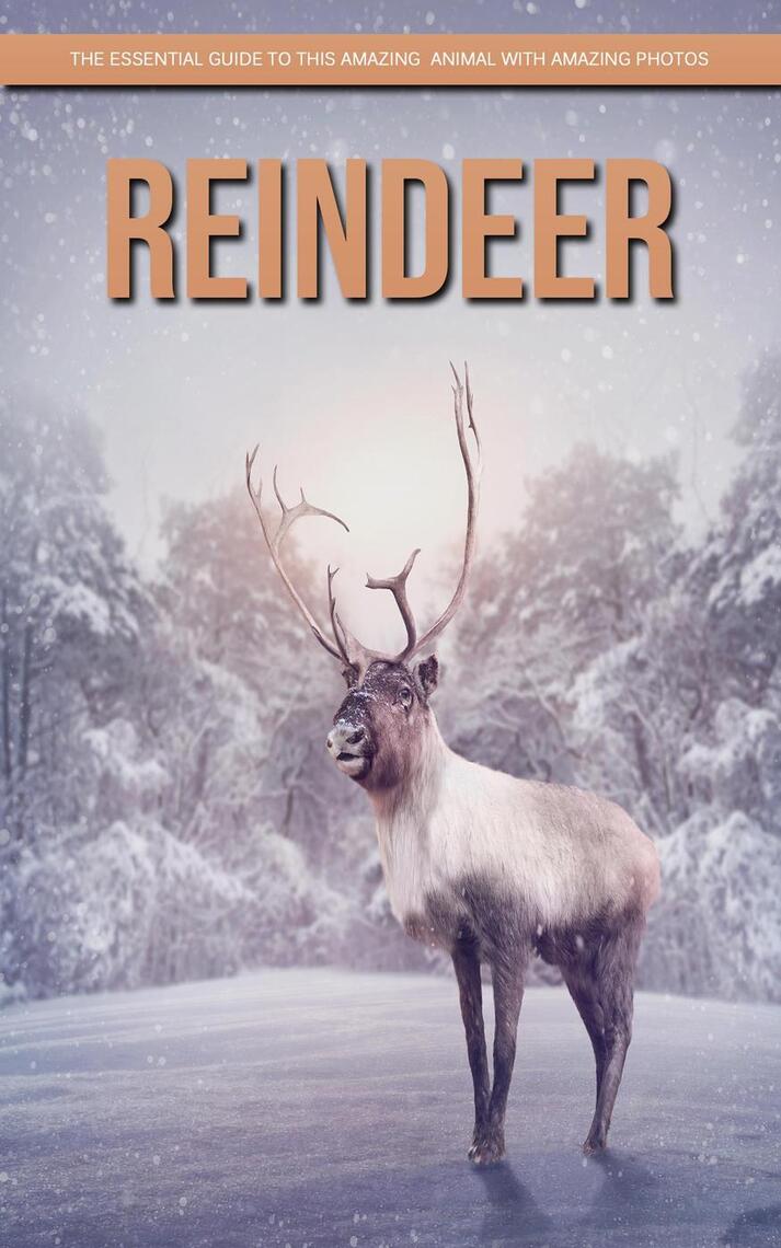 Reindeer: The Essential Guide to This Amazing Animal with Amazing ...