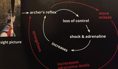 Review The Archer’s Reflex - Bow International | Everand