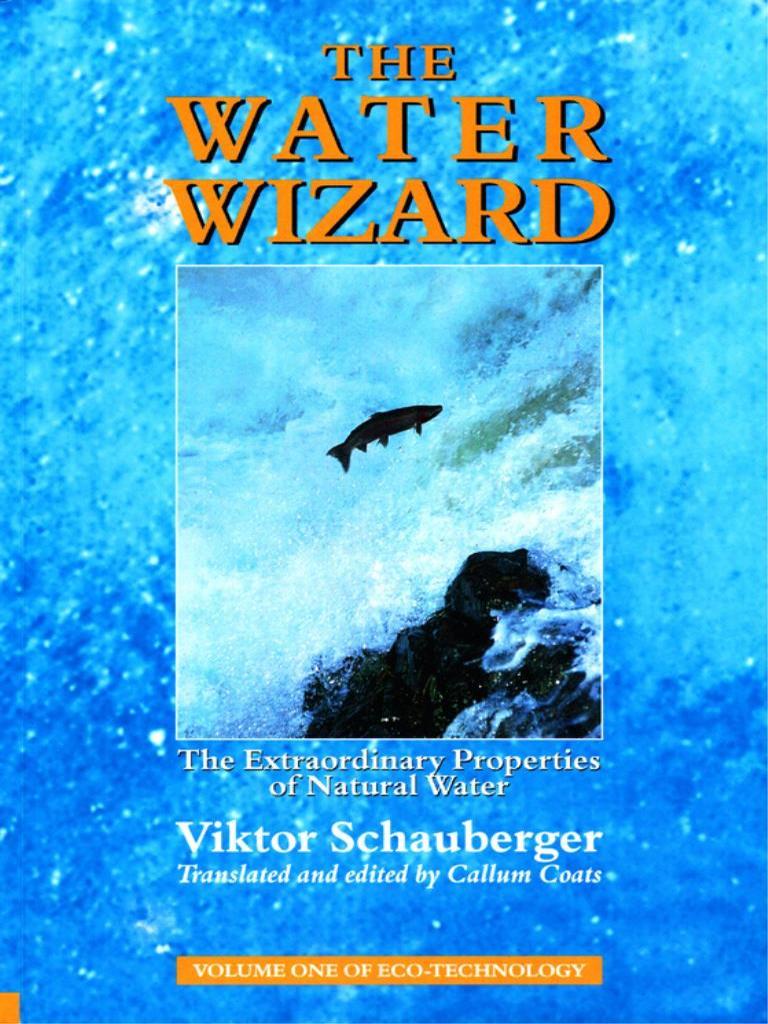 The Water Wizard – The Extraordinary Properties of Natural Water by ...