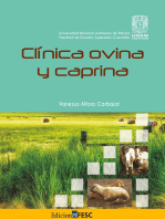Formato Recetas Cuantificadas MVZ | PDF | Médico de atención primaria ...