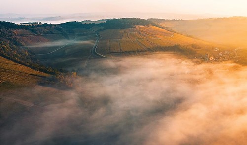 How Fog Forms - How It Works | Everand