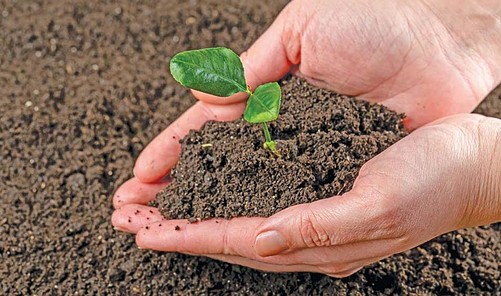 How Microbes Boost And Conserve Soil Health - Farmer's Weekly | Everand How Microbes Boost And Conserve Soil Health - Farmer's Weekly | Everand