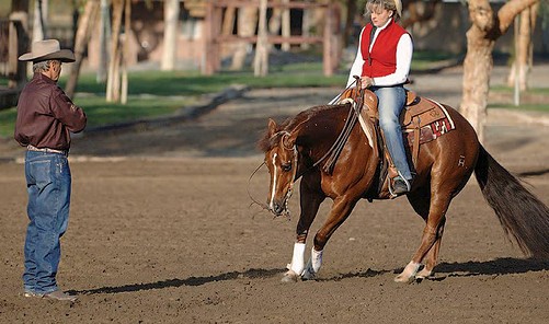 How (and Why) To Find A Trainer - Horse & Rider | Everand
