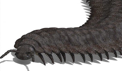 TOP 5 · How Big Could Bugs Grow? - Science Illustrated | Everand