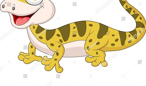 World Lizard Day: Facts Children Need To Know - Weekend Argus Saturday ...