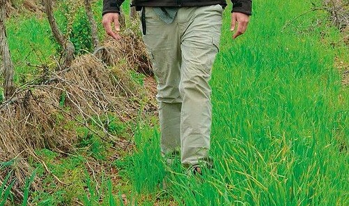 Vra Vrae, Leer By Ander En Vestig Goeie Stelsels - Landbouweekblad ...