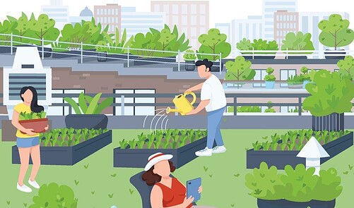 Roof Top Plots - Good Organic Gardening | Everand