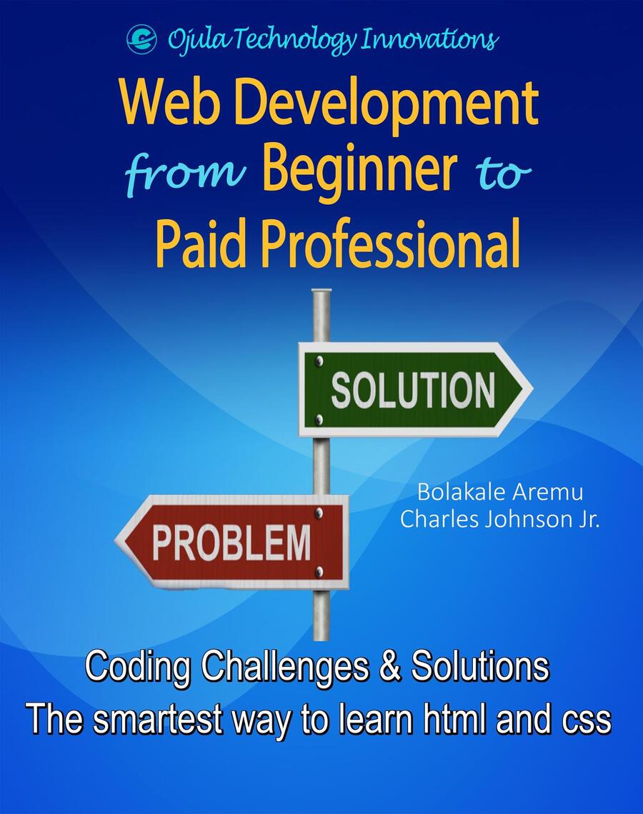 Web Development from Beginner to Paid Professional by Bolakale Aremu ...