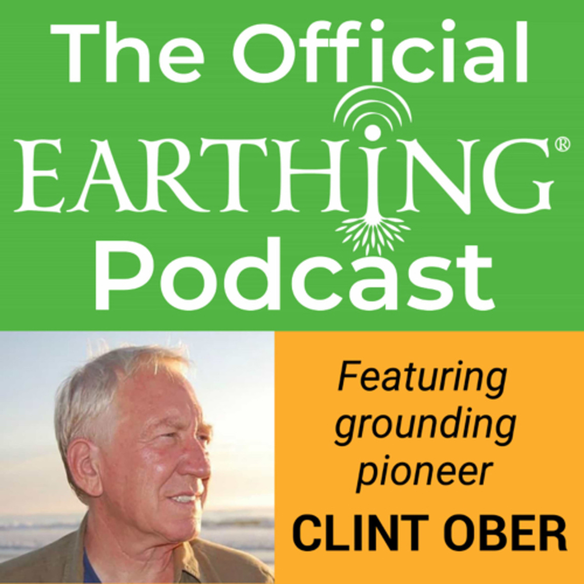 The Earthing by Clint Ober and Earthing.com | Connect to the earth and ...