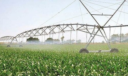 6 Maniere Hoe KI Jou Boerdery Kan Verbeter - Landbouweekblad | Everand