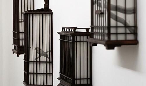 Exploring Migration, Belonging And The Meaning Of Home In Sri Lanka ...