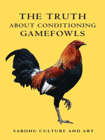 Conditioning The Gamecock For Battle | PDF | Maize | Weight