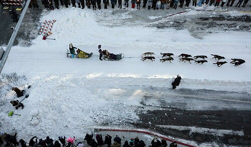 Dog Deaths Revive Calls For End To Iditarod, The Endurance Race With ...