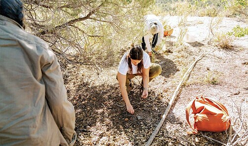 Growing Indigenous Agroforestry in the Northwest - MOTHER EARTH NEWS ...