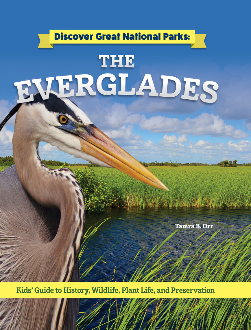 Discover Great National Parks: The Everglades by Tamra B. Orr (Ebook ...