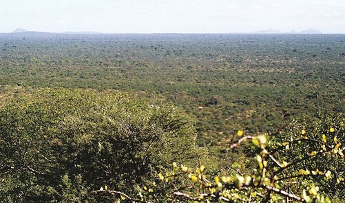 The Blue Wildebeest - Man Magnum | Everand