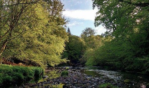 The Esk River Pollution Case - History Scotland | Everand
